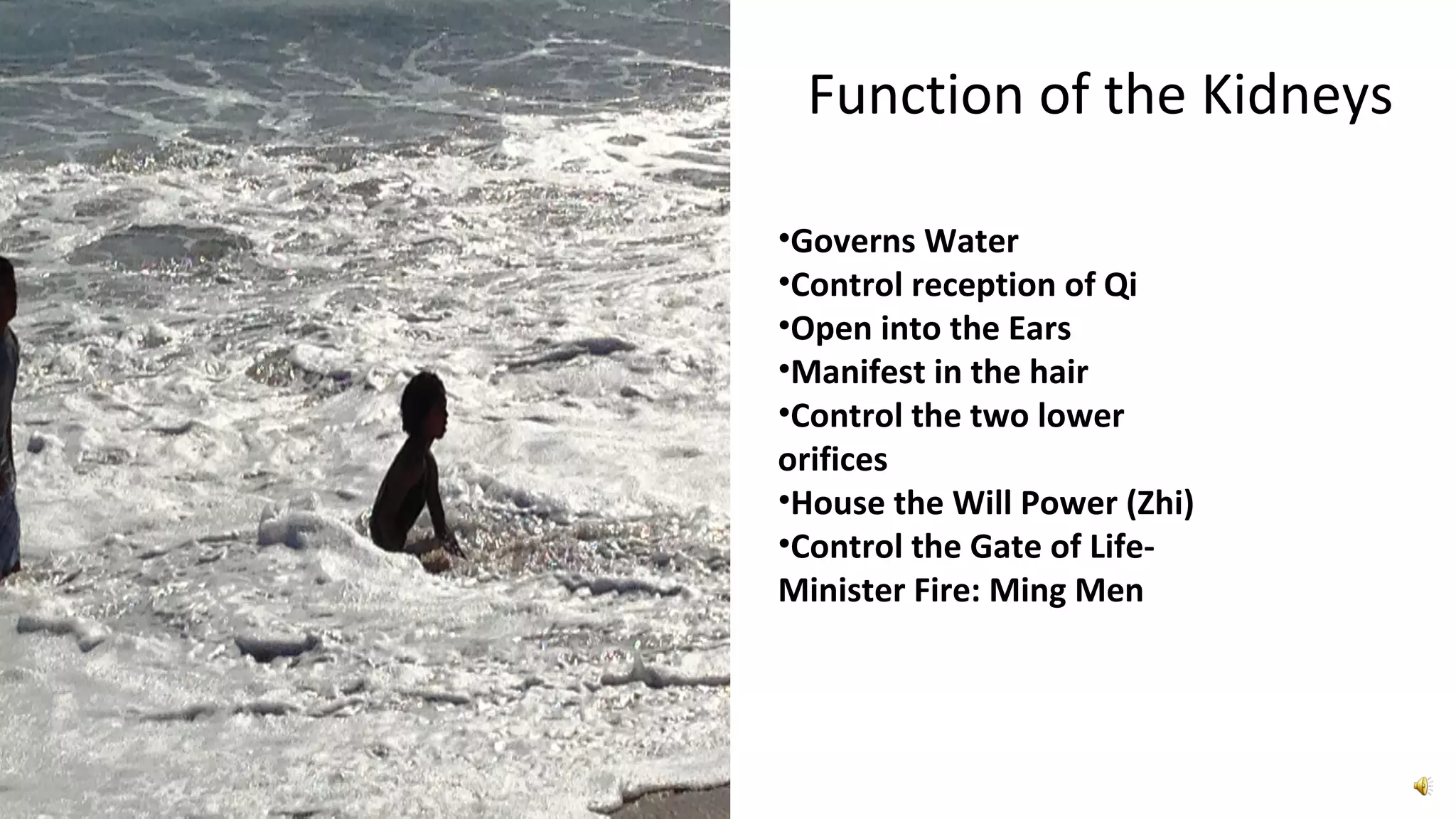 Summary of kidney pathologies | PPT