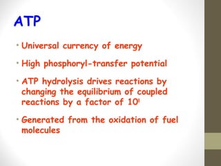 Summary of metabolism lecture | PPT