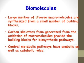 Summary of metabolism lecture | PPT