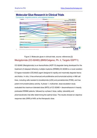 Summary of Molecular Glues Approved or in Clinical Trial.pdf