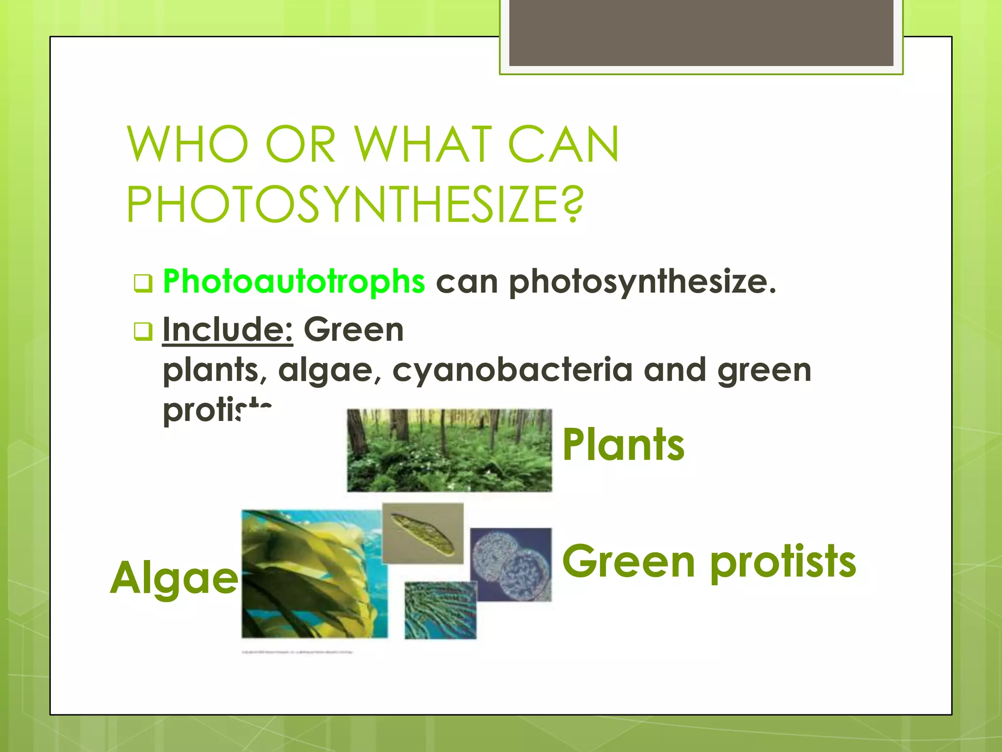 Summary of photosynthesis | PPTX