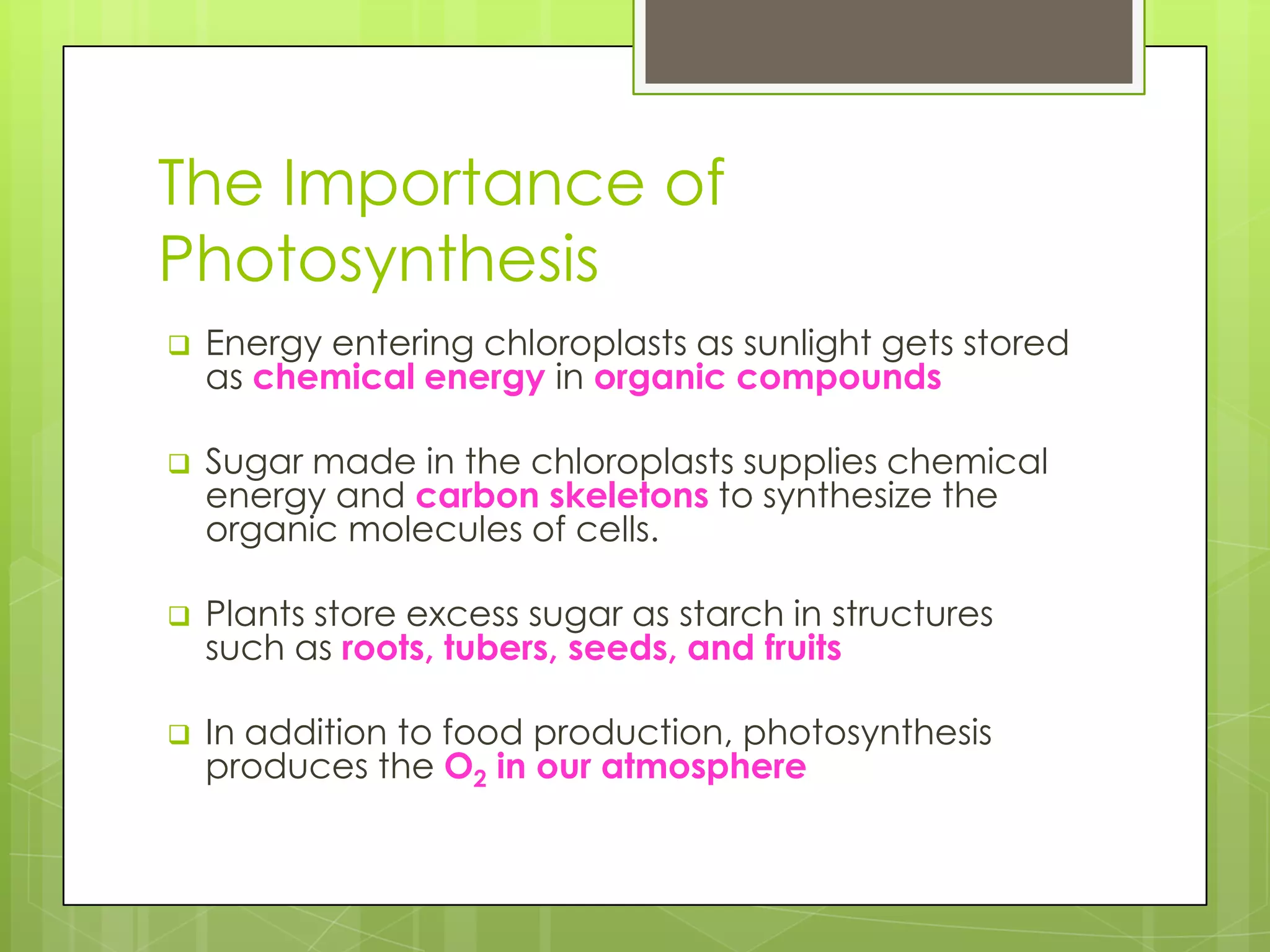 Summary of photosynthesis | PPTX