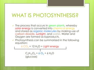 Summary of photosynthesis | PPTX