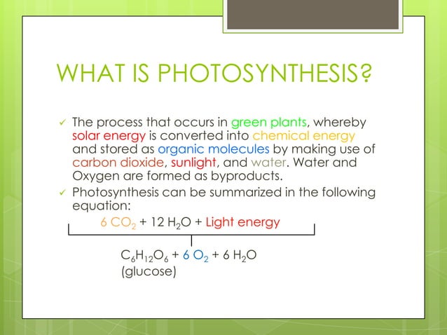 Summary of photosynthesis | PPTX