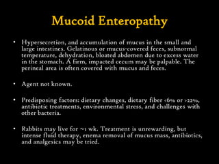 Summary of post weaning digestive diseases in rabbits | PDF