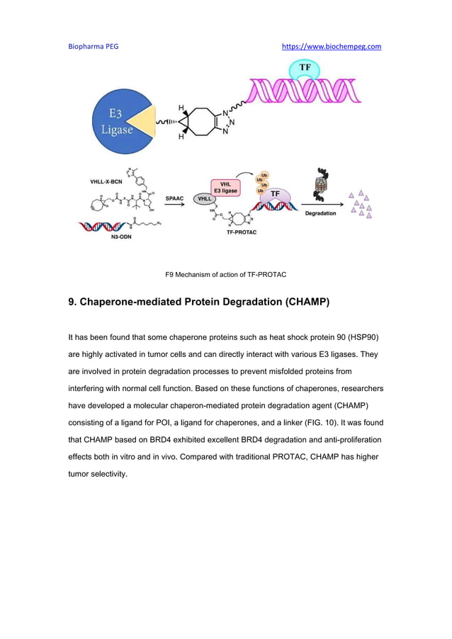 Summary of PROTAC And Other Targeted Protein Degradation Technologies.pdf