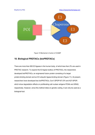 Summary of PROTAC And Other Targeted Protein Degradation Technologies.pdf