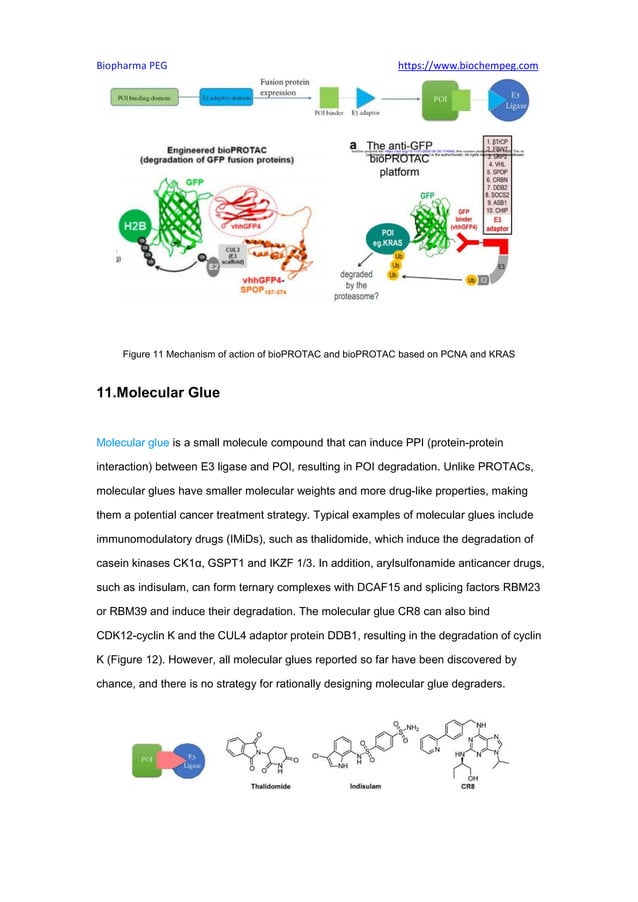 Summary of PROTAC And Other Targeted Protein Degradation Technologies.pdf