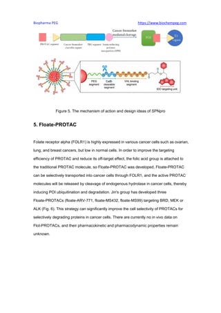Summary of PROTAC And Other Targeted Protein Degradation Technologies.pdf