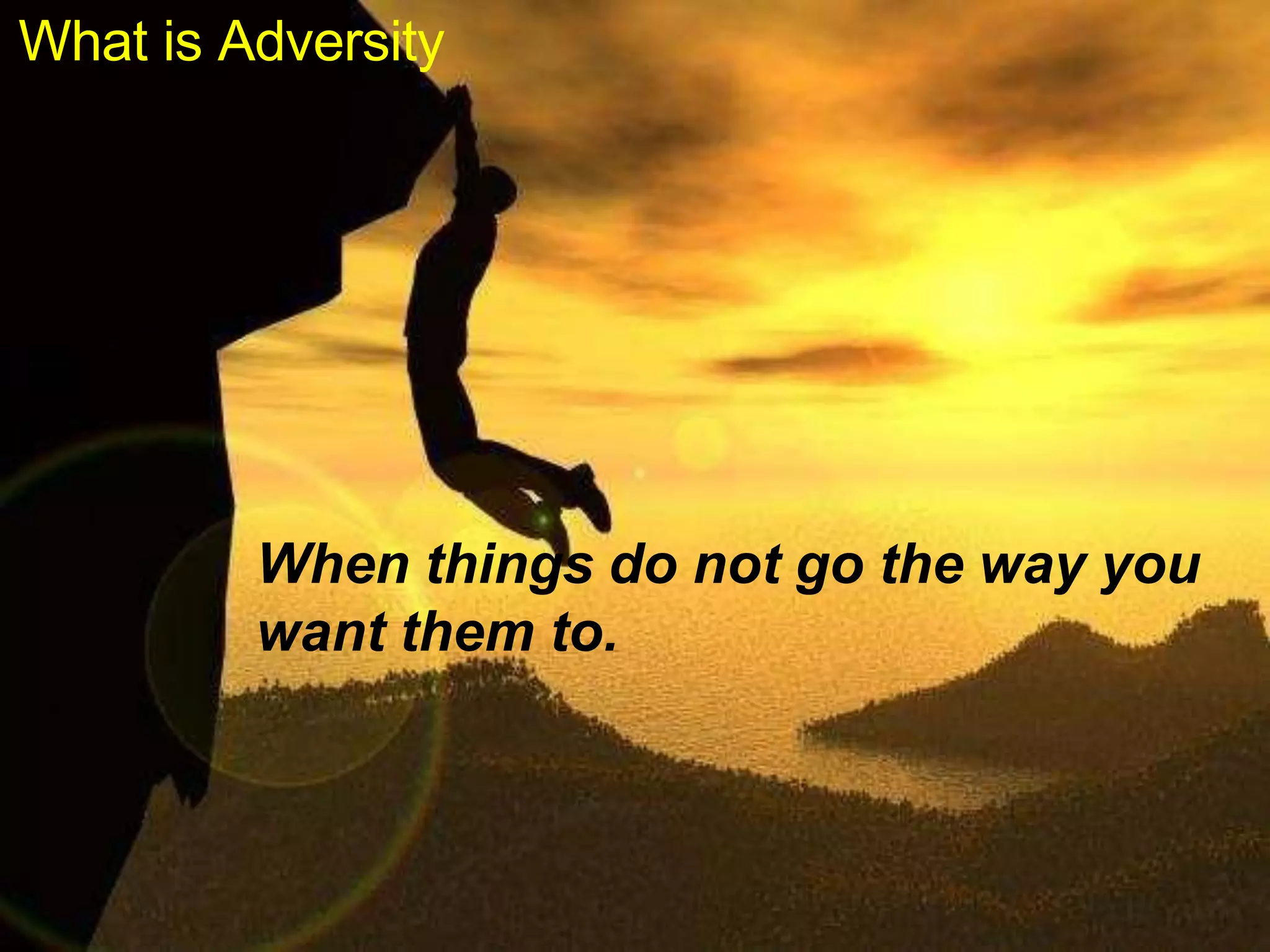 Summary-Adversity Quotient | PDF | Mental Health | Diseases and Conditions