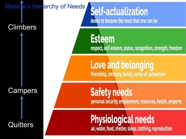 Summary-Adversity Quotient | PDF | Mental Health | Diseases and Conditions