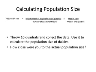 Summary of topic 2.3 | PPTX