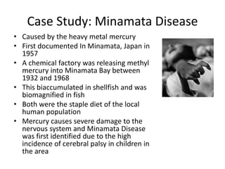 Summary of topic 2.1 | PPTX | Biological Sciences | Science
