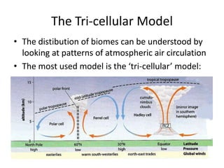 Summary of topic 2.4 | PPTX | Weather | Science