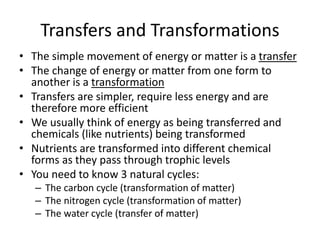 Summary of topic 2.3 | PPTX