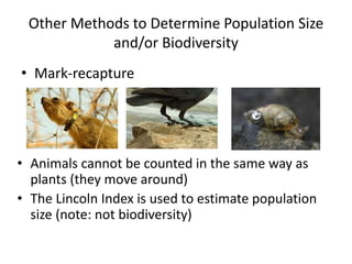 Summary of topic 2.5 | PPTX