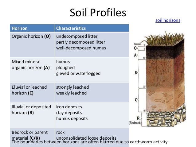 Summary of topic 3.4