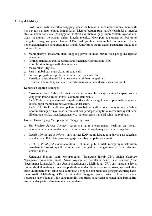 Summary Professionals Ethics Dan Legal Liability Audit | PDF