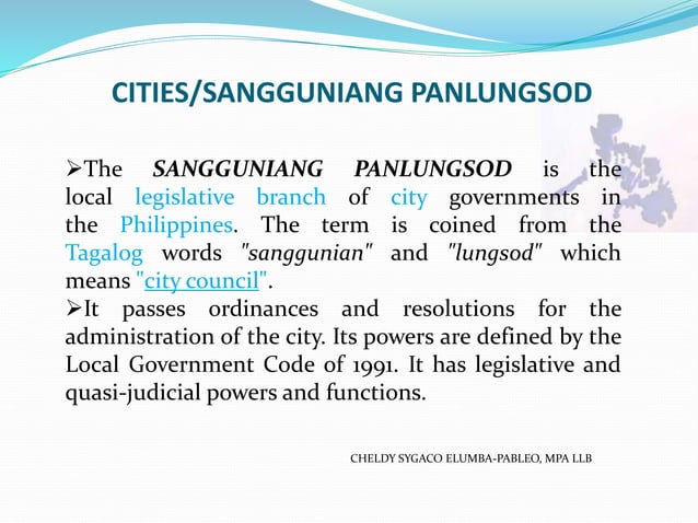 Summary Report on Local Government Unit (LGU) | PPTX | Law