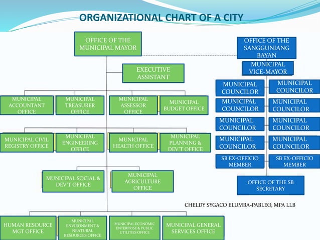 Summary Report on Local Government Unit (LGU) | PPTX | Law