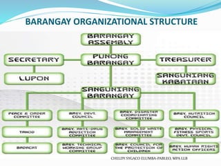 Summary Report on Local Government Unit (LGU) | PPTX
