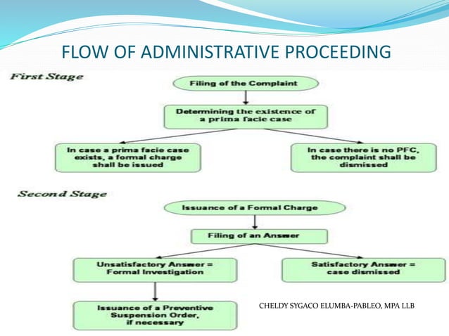 Summary Report on Local Government Unit (LGU) | PPTX | Law