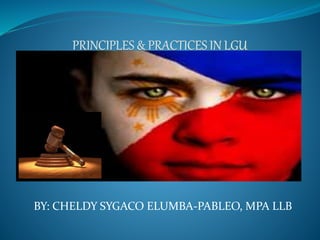 Summary Report on Local Government Unit (LGU) | PPT