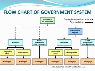 Summary Report on Local Government Unit (LGU) | PPT