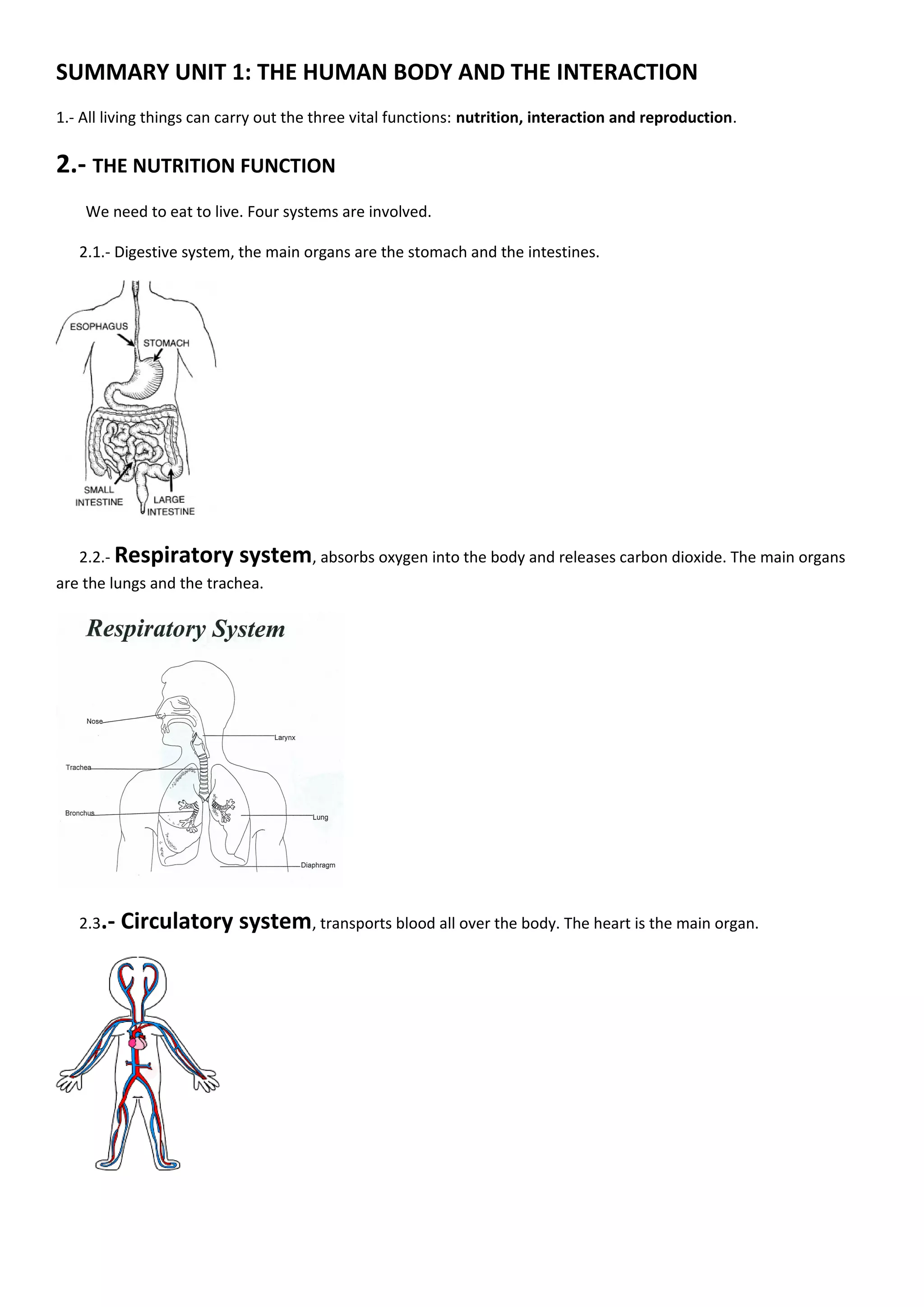 Summary unit 1 6th | DOC