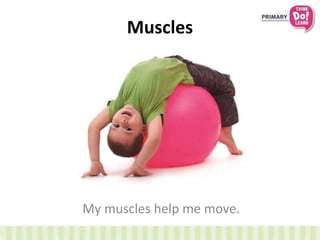 Summary unit 1 my body | PPT