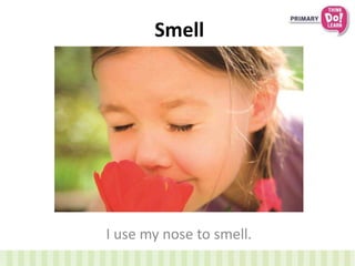 Summary unit 2 my senses | PPT