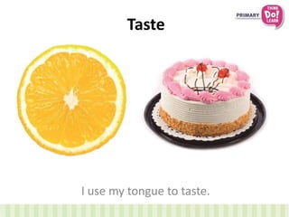 Summary unit 2 my senses | PPT