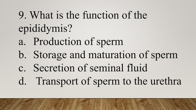 Summative-test-Reproductive-system (1).pptx | Infertility ...