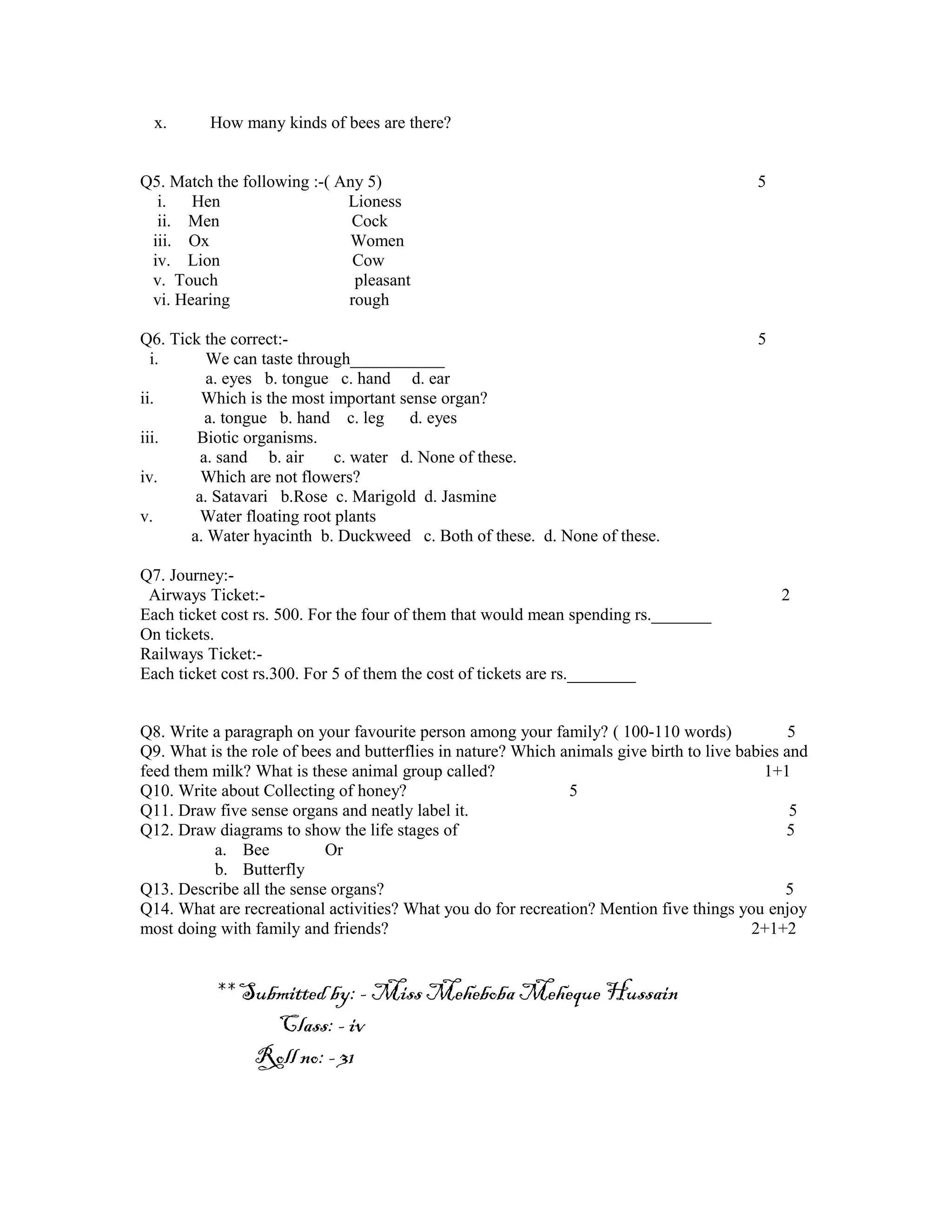 Summative assessment 1 sample paper class 4 | DOC