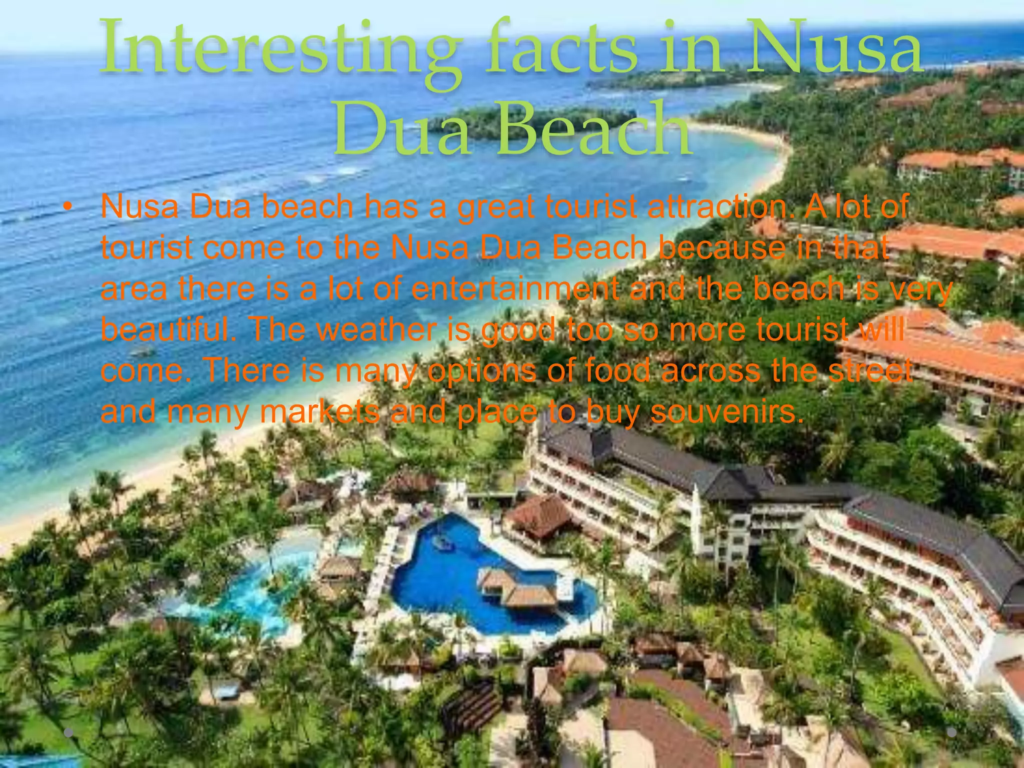 Ocean Ecosystem In Bali | PPTX