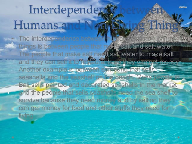 Ocean Ecosystem In Bali | PPT