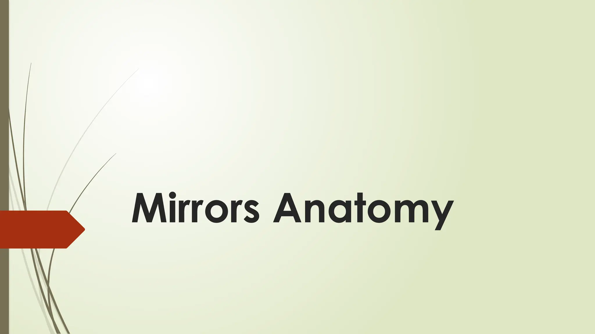summative test_mirrors .pptx
