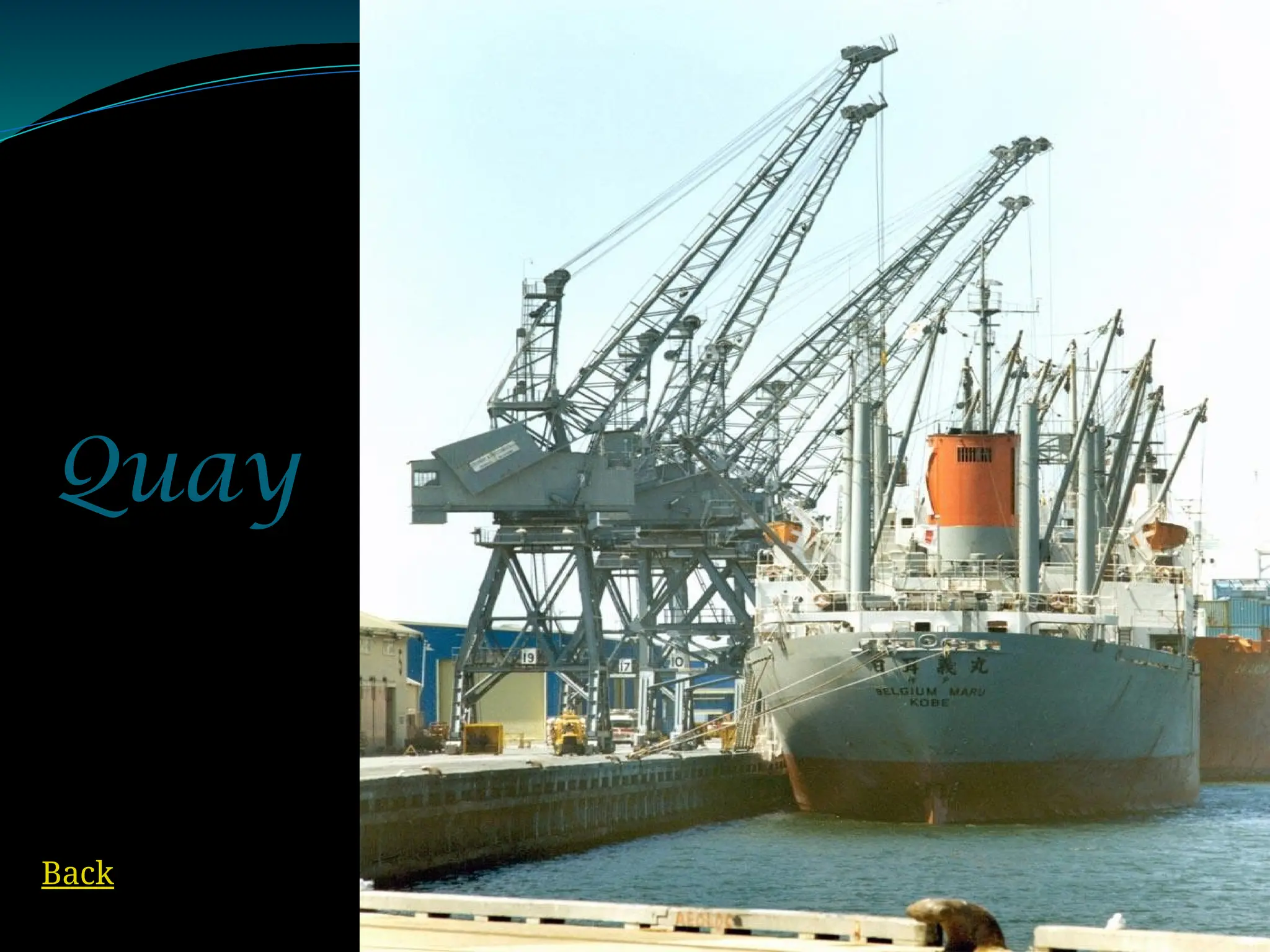 Harbours and classification for novice learner | PPT