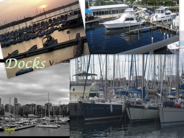 Harbours and classification for novice learner | PPT