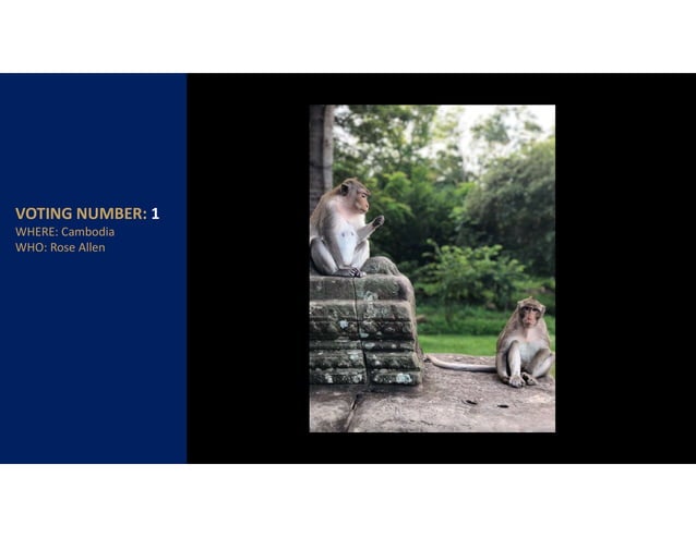 Our Love of the World: 2019 AIRINC Photo Contest | PDF