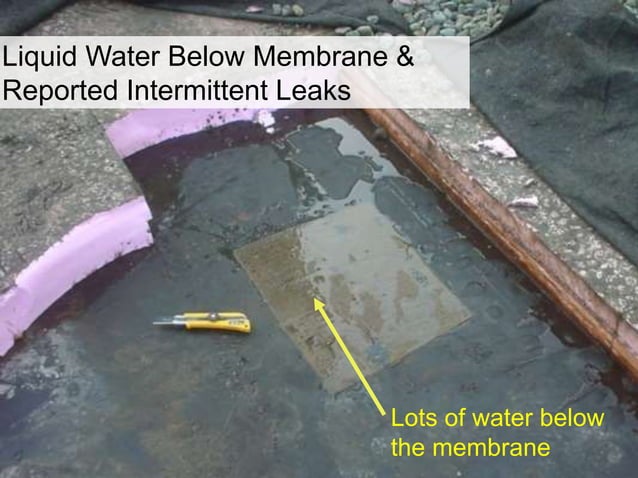 Osmosis - The Bane of Liquid Applied Waterproofing Membranes | PPT