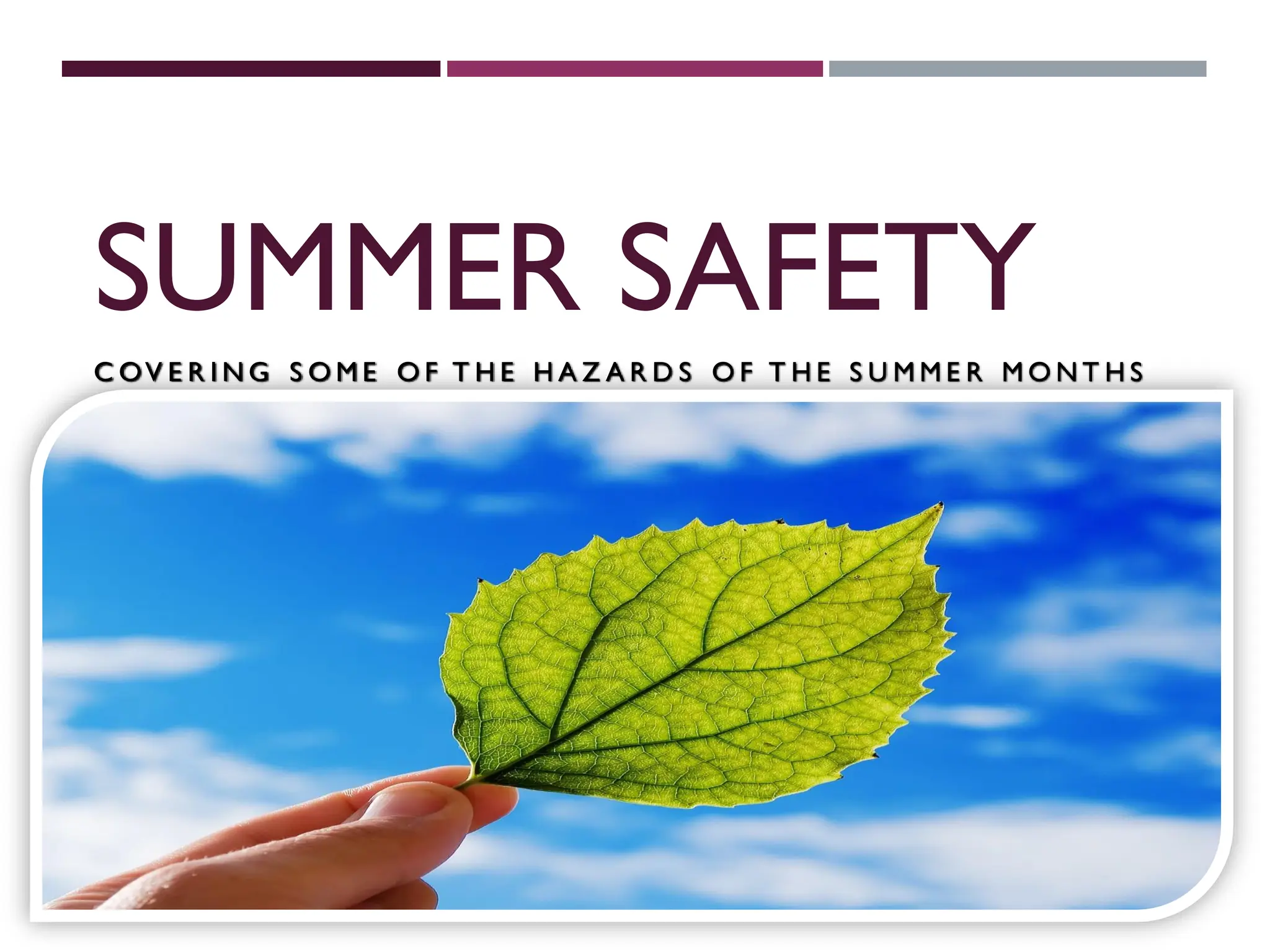Summer Heat Safety Summer Heat Safety Summer Heat Safety Summer Heat ...