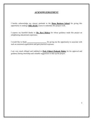 Summer internship program final report | PDF