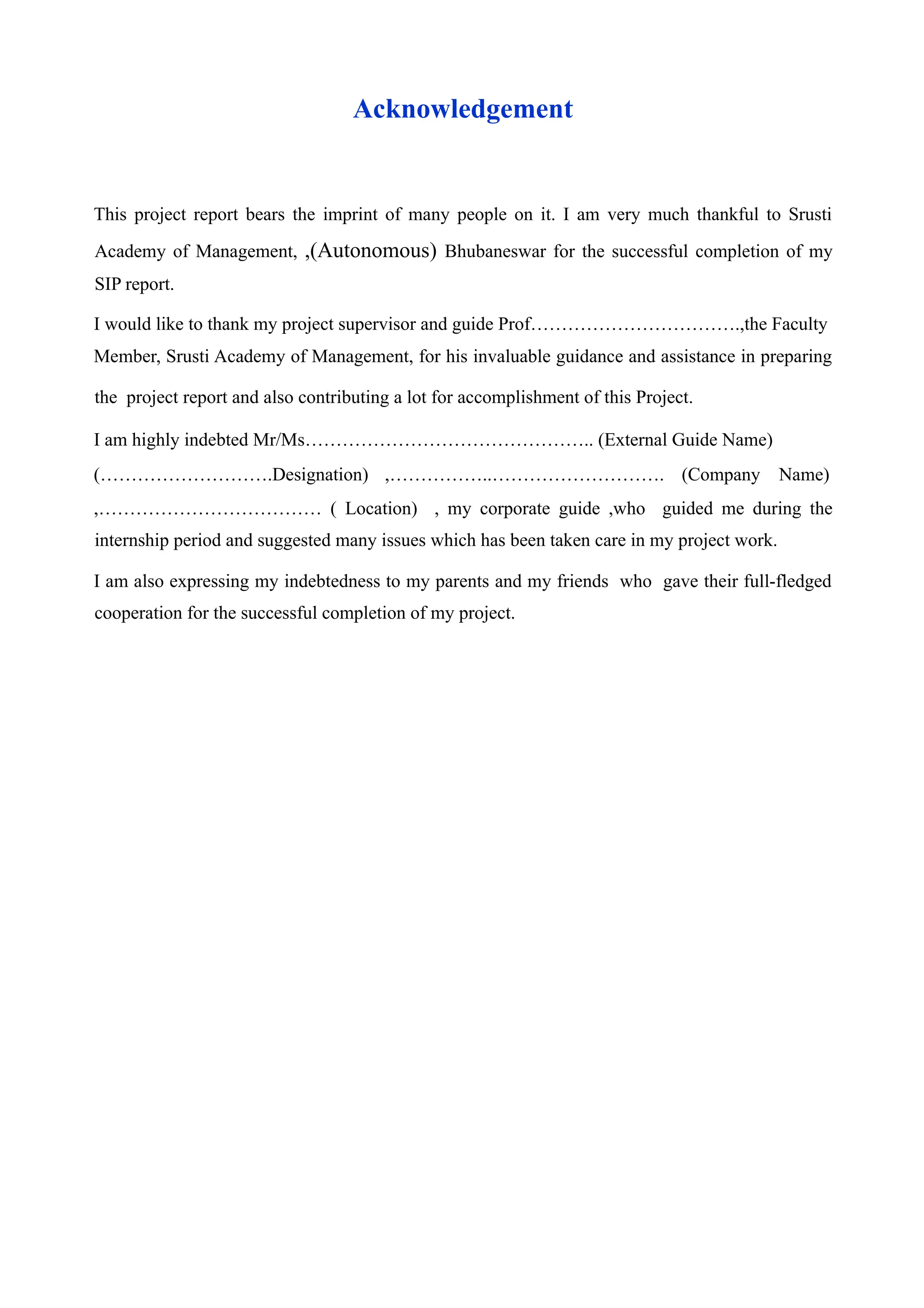 Summer Internship Project Report Template.docx