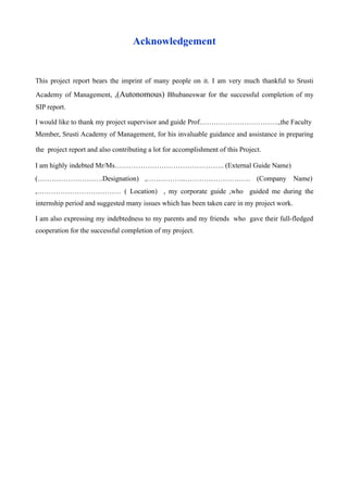 Summer Internship Project Report Template.docx