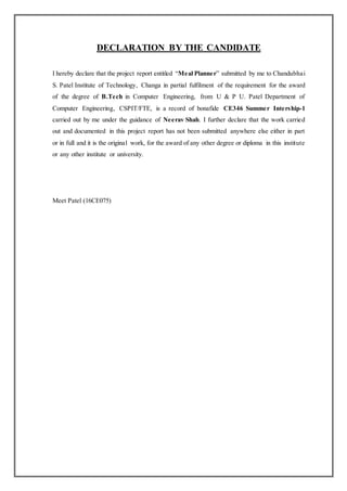 Summer Internship Report Docx