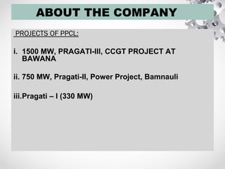 Summer internship report | PPT