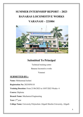 SUMMER INTERNSHIP REPORT complete.pdf