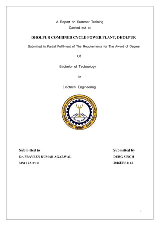 Summer internship report of DCCPP | PDF