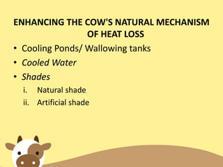 Summer management | PPTX | Weather | Science